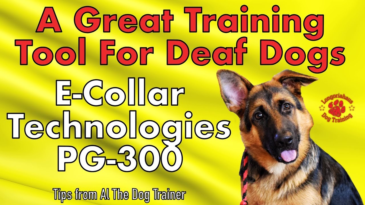 E-Collar Technologies PG-300, Great Tool For Training A Deaf Dog - Tips ...
