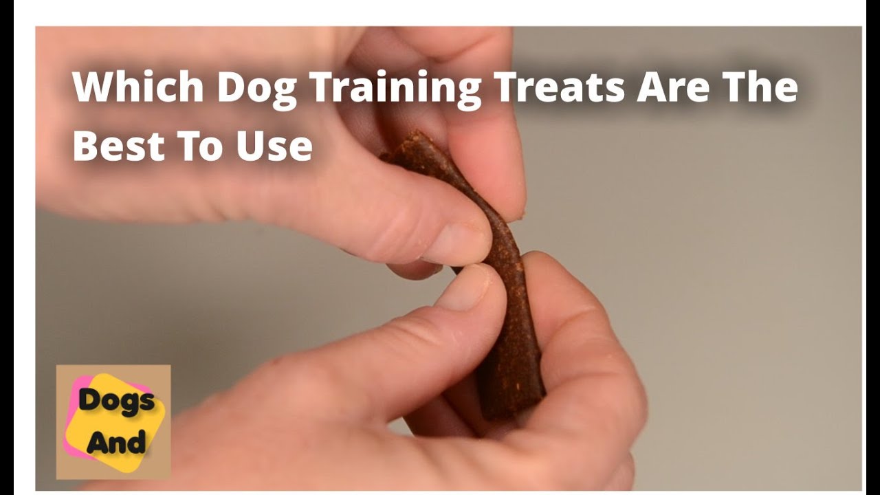 Which Dog Training Treat Is Best? - Best Dog Training Methods