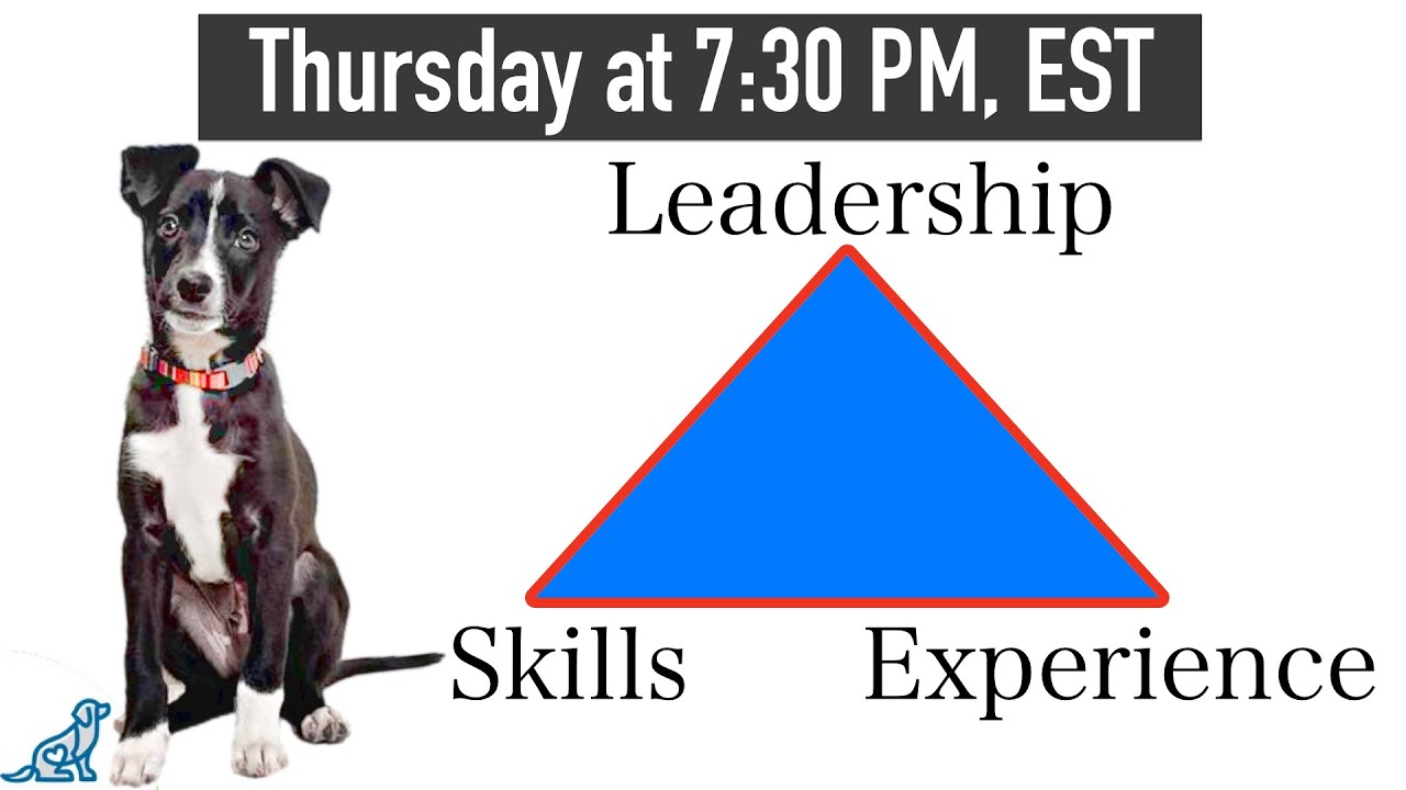 Do You Know About The Puppy Training Triangle? - Best Dog Training Methods