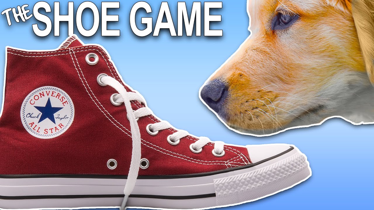 STOP Your Dog From Pulling On Leash With This STRANGE Game - Best Dog ...