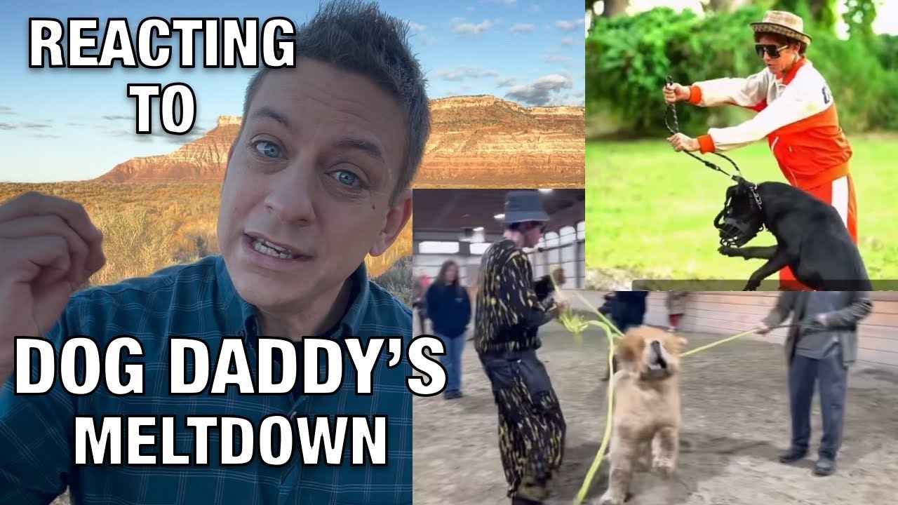 Reacting to Dog Daddy's Meltdown - Best Dog Training Methods
