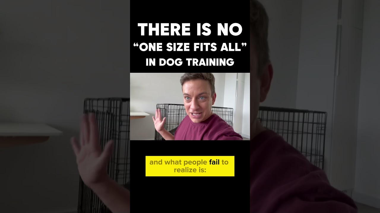 There is NO “One Size Fits All” Approach in Dog Training - Best Dog ...