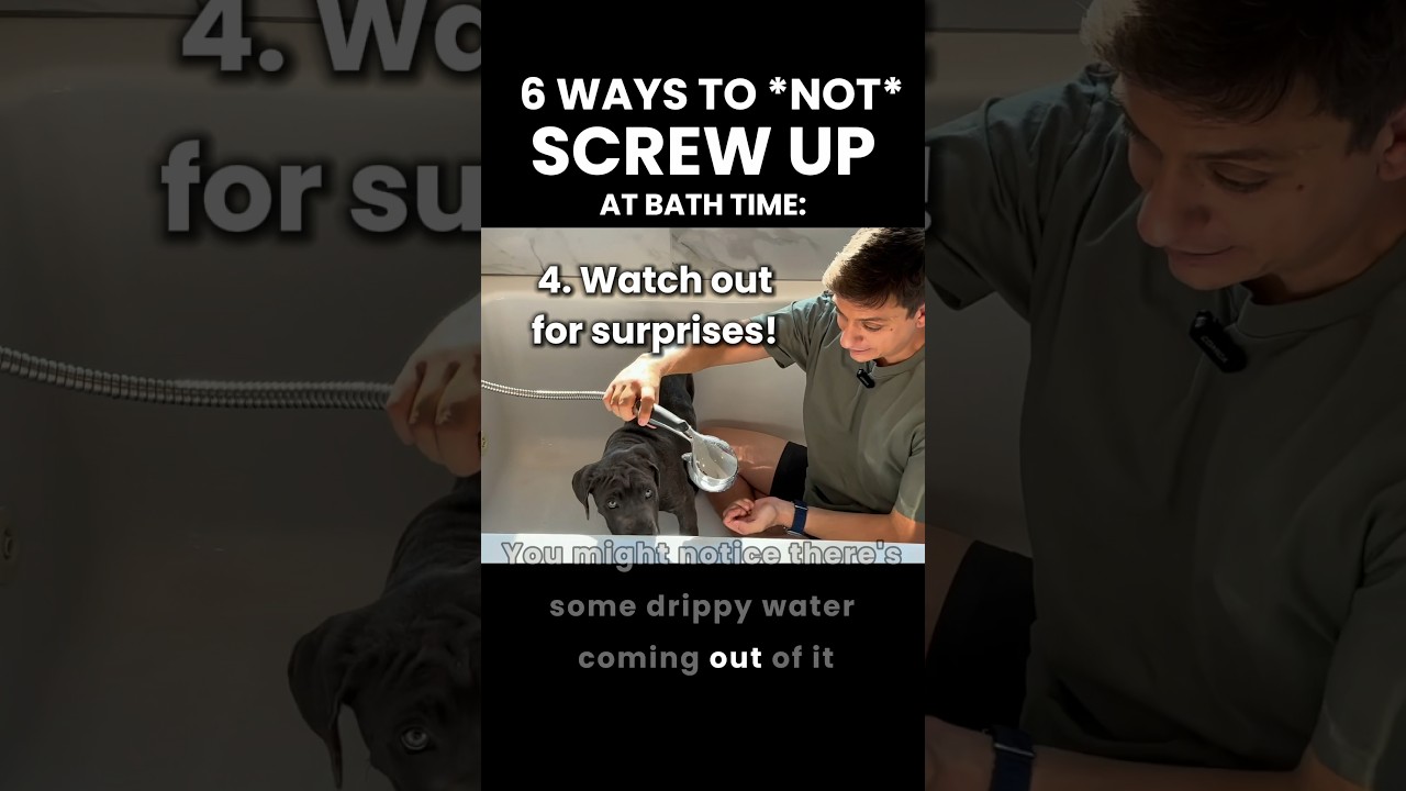 6 Quick Ways to NOT Screw Up Bath Time! - Best Dog Training Methods